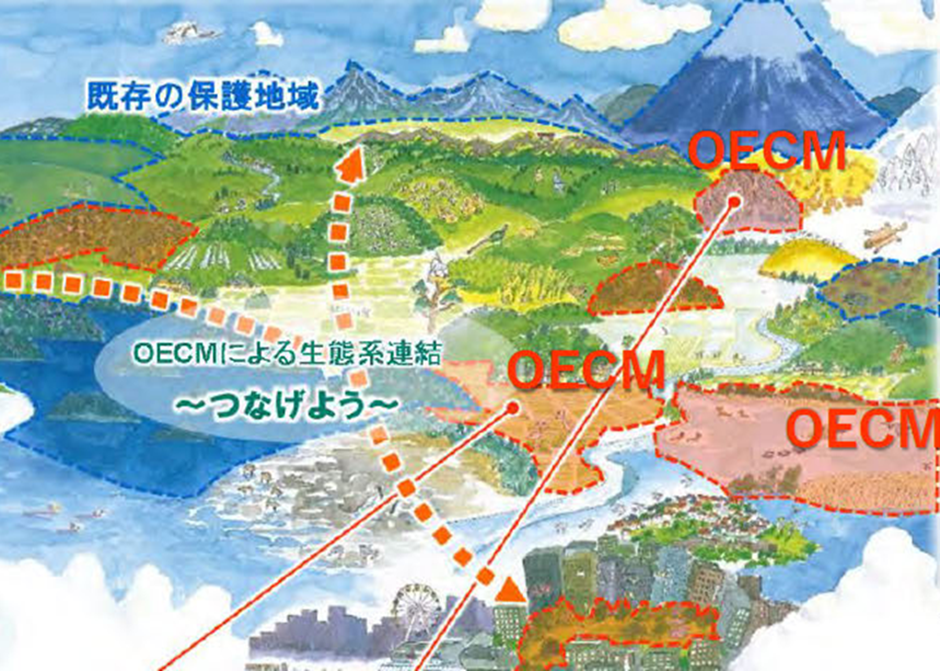 生物多様性の保全を目指す「30by30」とは？ 再生可能エネルギーは目標達成にどのように貢献できるか – HATCH ｜自然電力のメディア